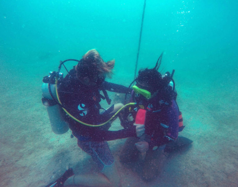 Scuba Diving with Disabilities: Anyone Can Do It! – PHSA